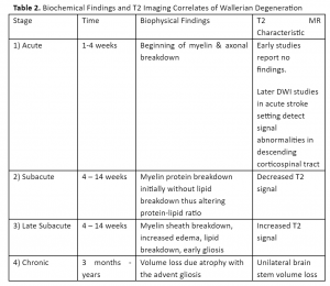 Historical perspective on MRI Characteristics of Wallerian Degeneration ...